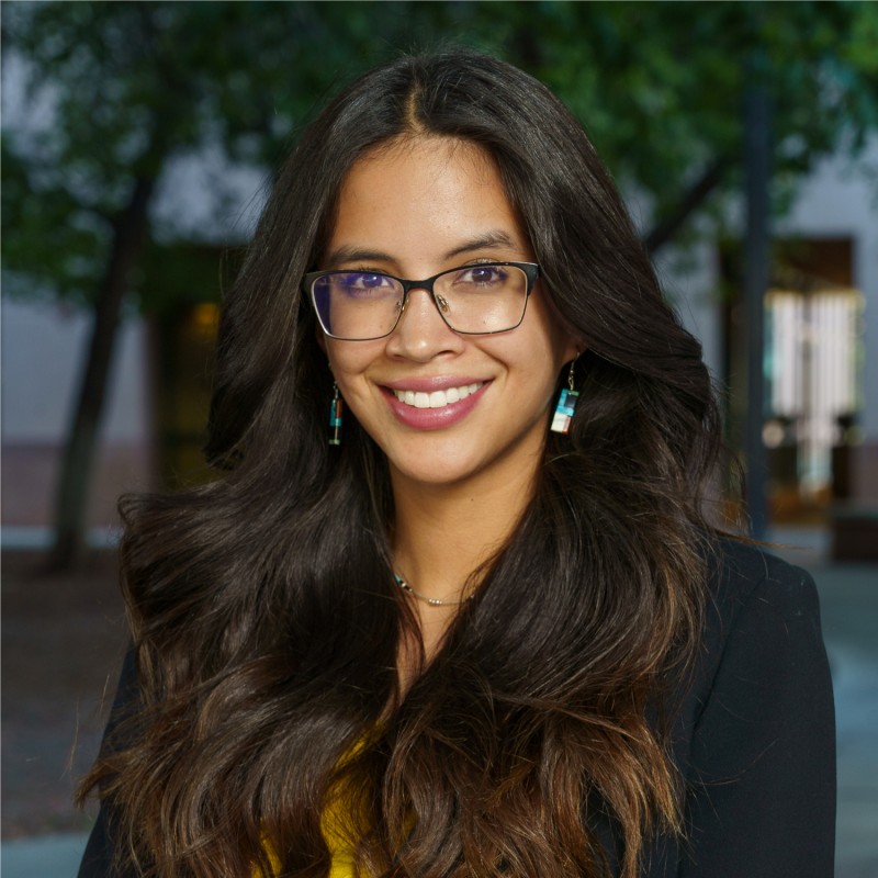 Working Group – U.S. Indigenous Data Sovereignty Network